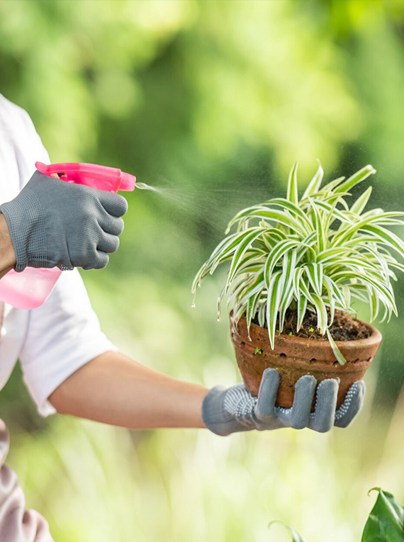 Wagro – Your Local Agro Partner – WAGRO TRADING SDN. BHD. was ...