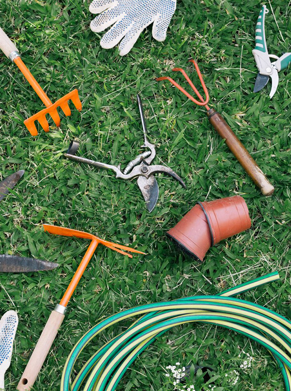 Wagro – Your Local Agro Partner – WAGRO TRADING SDN. BHD. was ...